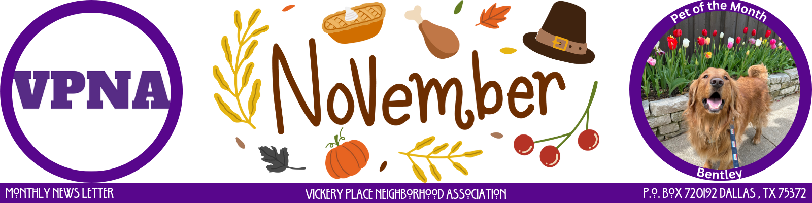 🍂November Neighborhood Newsletter🦃
