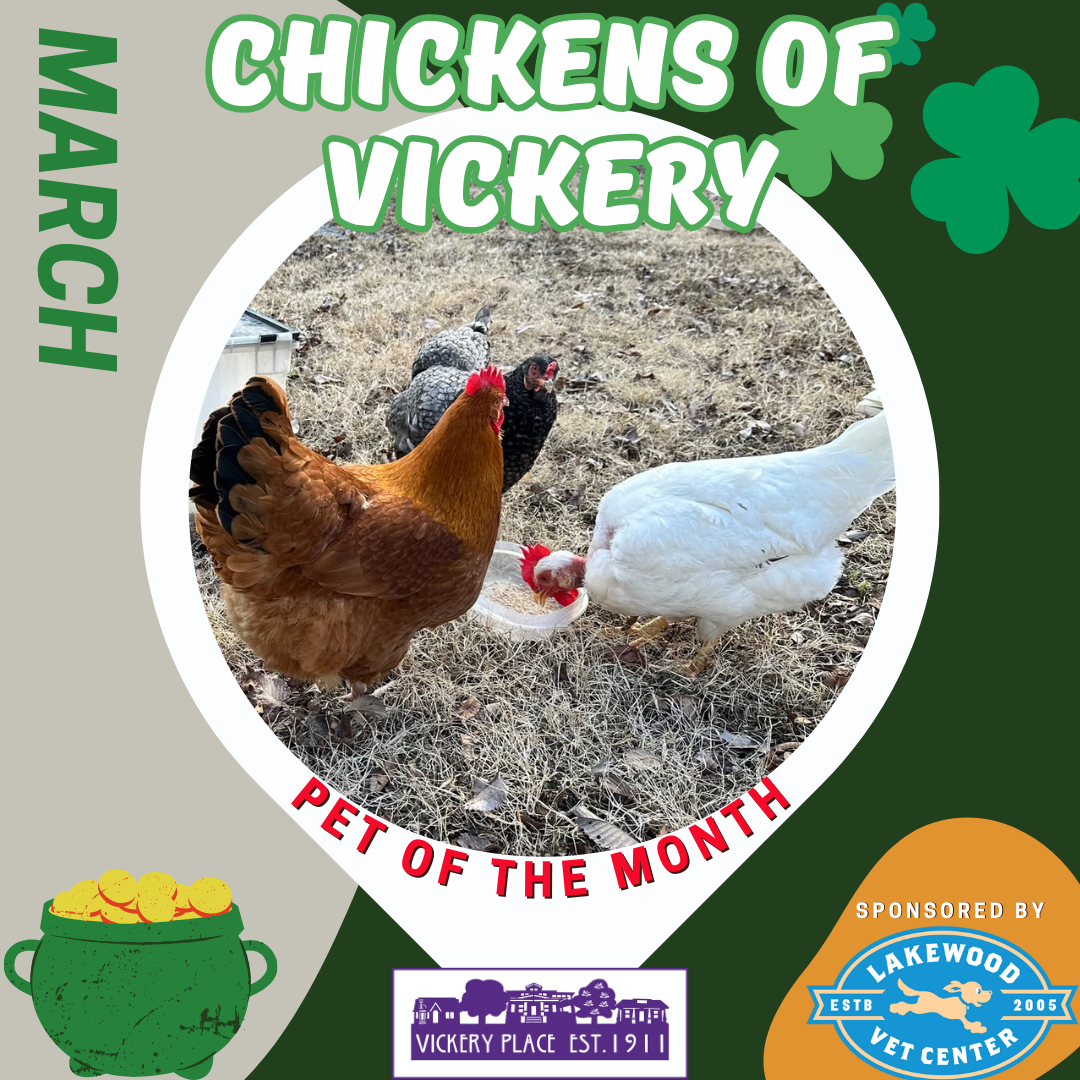 March Pet of the Month