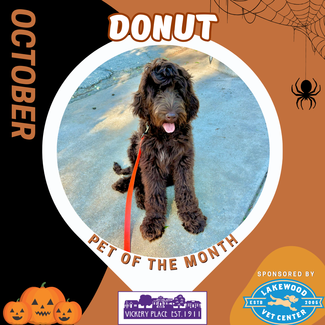 October Pet of the Month - Donut