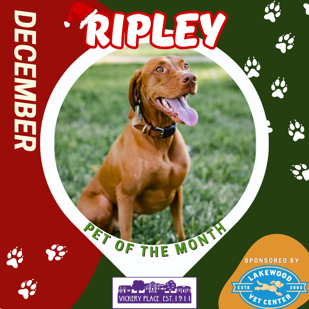 December Pet of the Month - Ripley