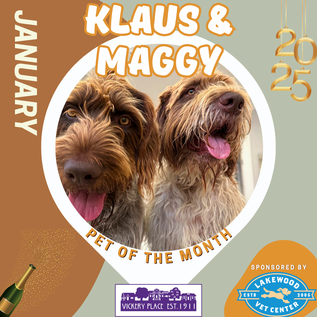 January Pet(s) of the Month - Klaus & Maggy