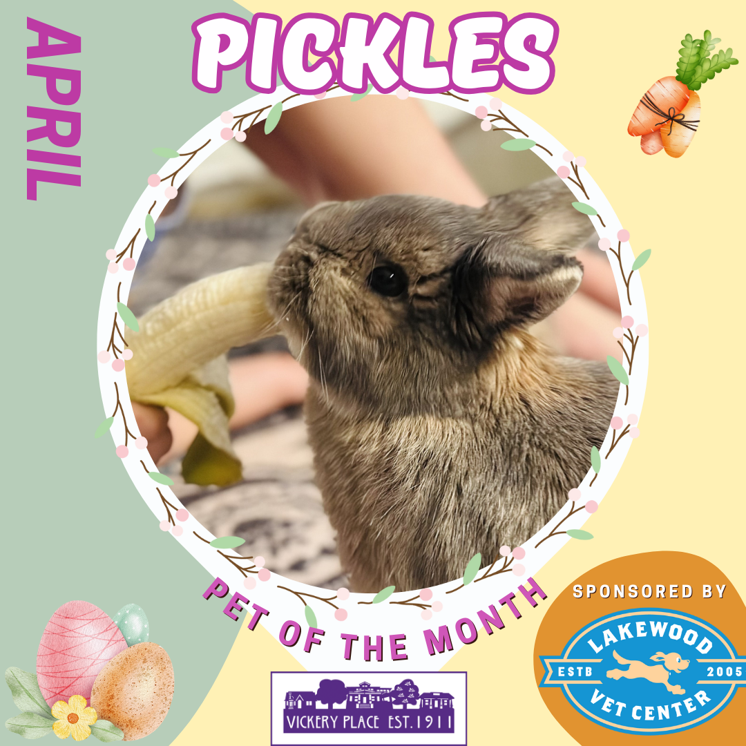 April Pet of the Month - Pickles