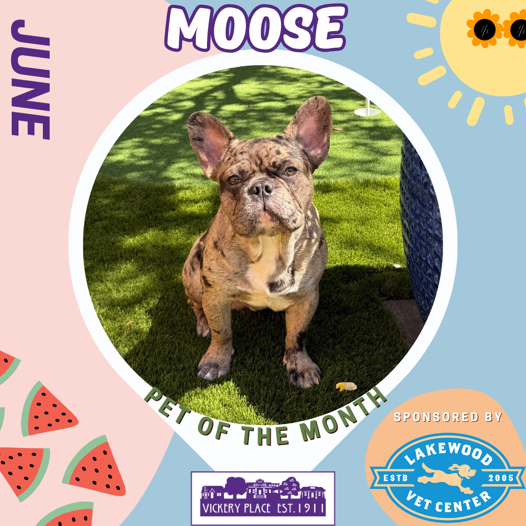 June Pet of the Month - Moose